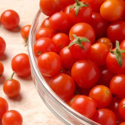 MaxGXL™ • NAC for Glutathione Production • Max International