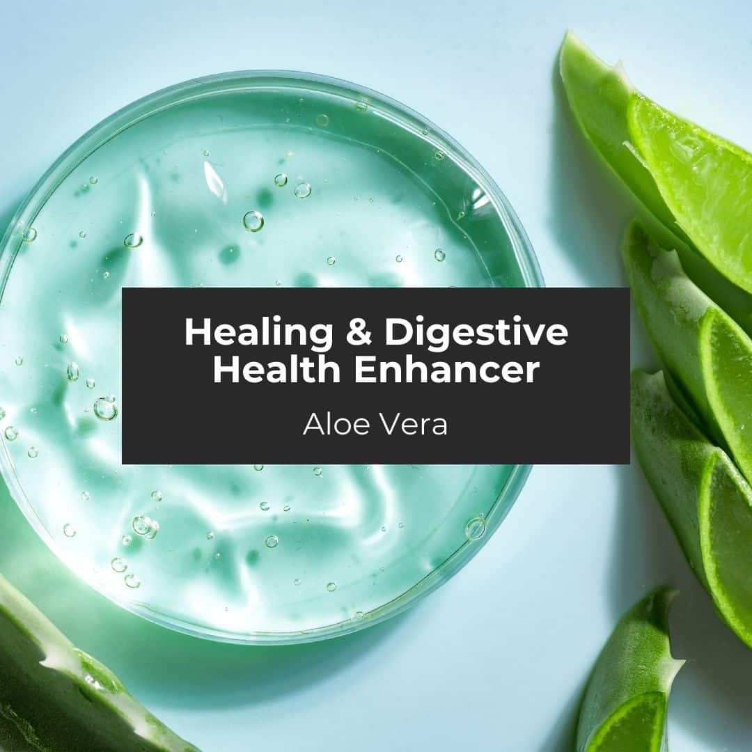 MaxOne • Max International