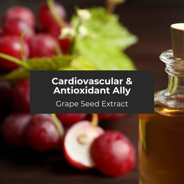 MaxOne • Max International