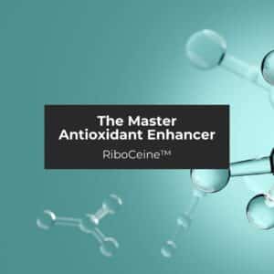 MaxOne • Max International