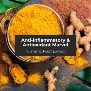 MaxOne • Max International